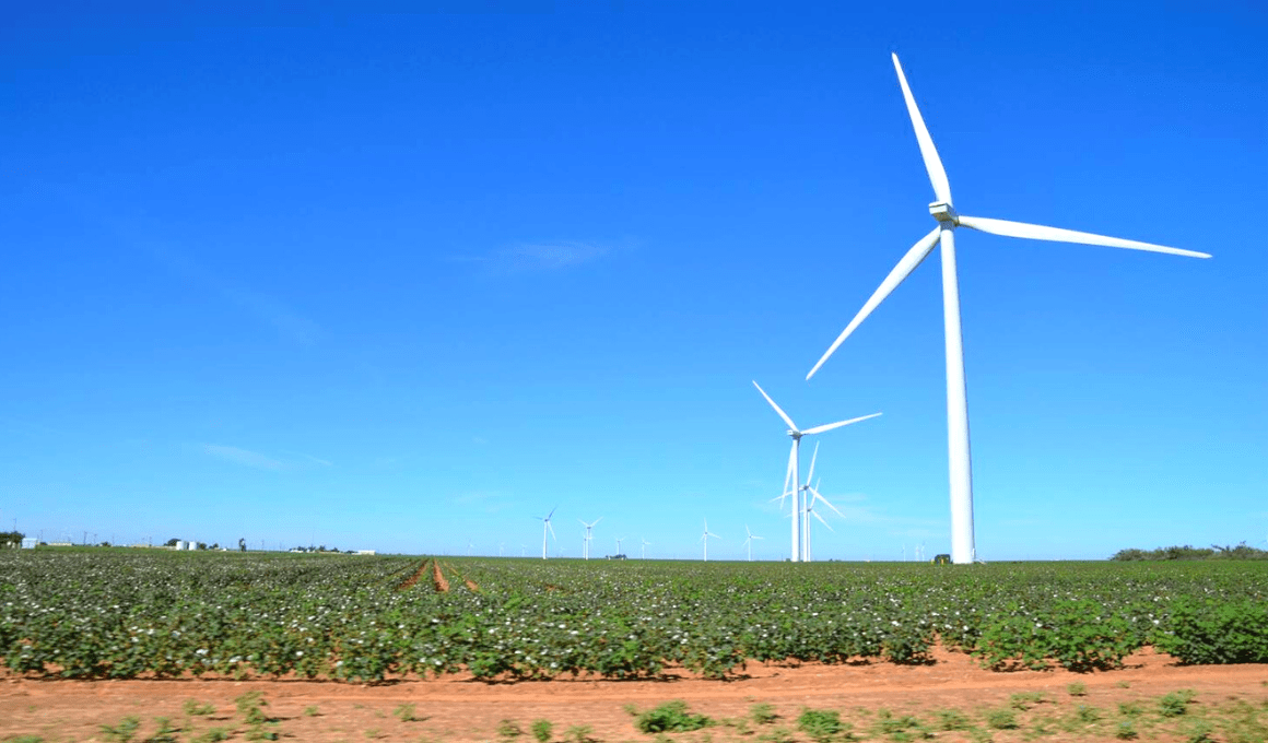 Fisher County (Texas) Wind